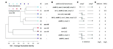 A Dendrogram Based On Average Nucleotide Identities Ani Of E Coli
