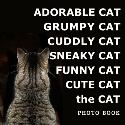 Grumpy Cat Jokes Grumpy Cat Jokes