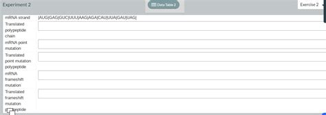 Solved Mrna Strandtranslatedpolypeptidechainmrna