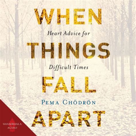 When Things Fall Apart Heart Advice For Difficult Times 9781645472346