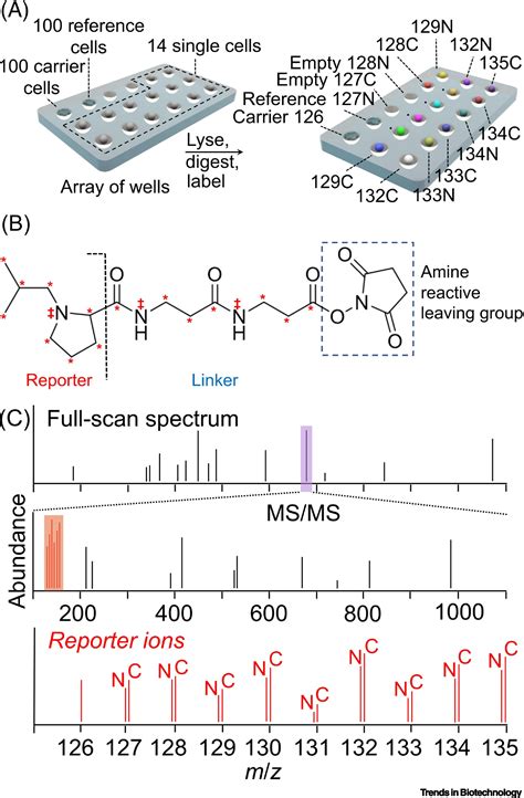 Single Cell Mass Spectrometry Trends In Biotechnology