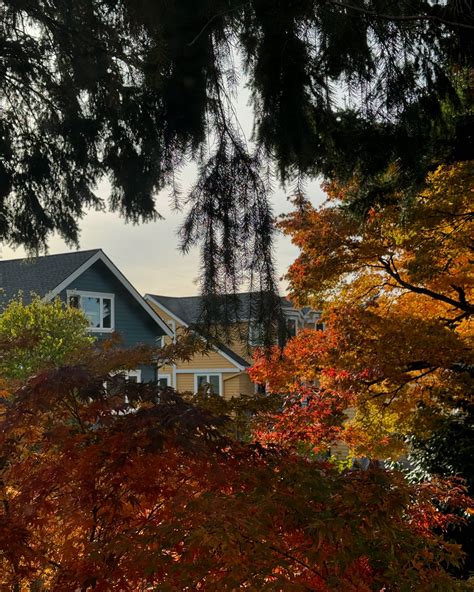 Caroline Prokos Seattle Real Estate Agent Carolineprokosrealestate