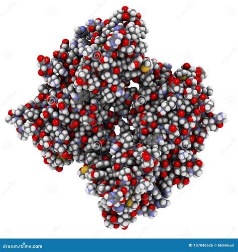Brca1 Breast Cancer Type 1 Susceptibility Brct Domain Dna Repair