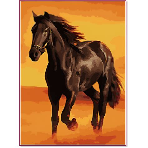 Рисуване по номера Кон Newart Storebg