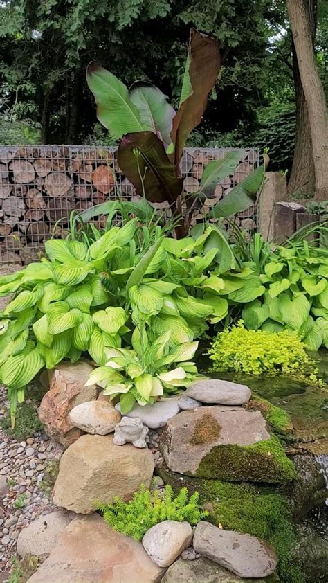 Backyard Design Ideas Koi Pond And Waterfall Ponds Backyard