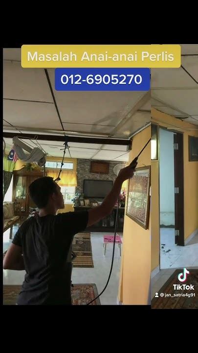 Masalah Anai Anai Perlis 012 6905270 Call Whatapps Youtube