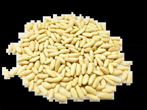 Buy Wholesale Organic Pine Nuts In Bulk Sahara Foods Uk