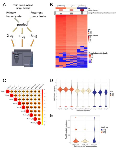 Comprehensive Evaluation Of The Dilution Series Data Set A Schematic Download Scientific