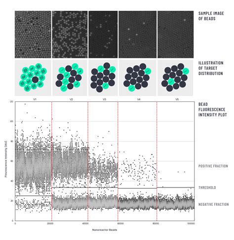 Blink Digital Pcr Analysis