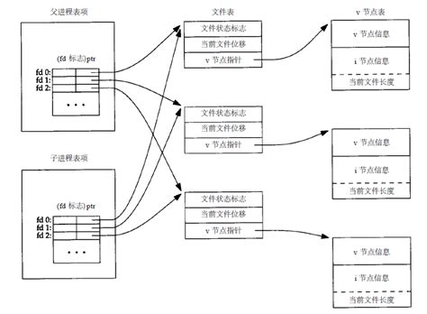 Unix再学习 函数 Fork 和 Vforkunix Vfork Csdn博客