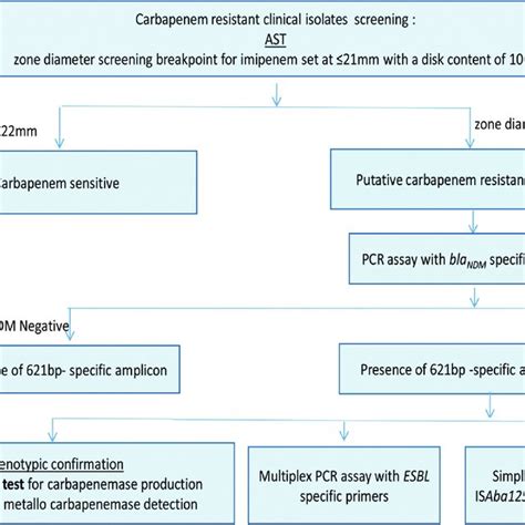 The Scheme For The Ast Genotypic And Phenotypic Tests Done To Identify