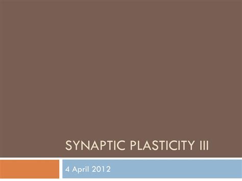Ppt Synaptic Plasticity Iii Powerpoint Presentation Free Download Id2614881