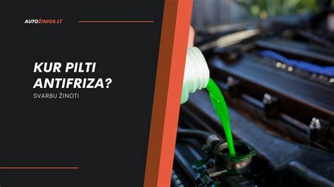 Kur Pilti Aušinimo Skystį Antifrizą Autozinioslt