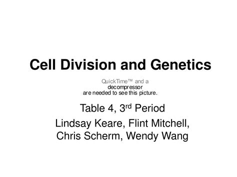 Ppt Cell Division And Genetics Powerpoint Presentation Free Download