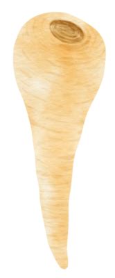 Ginger Root PNGs For Free Download