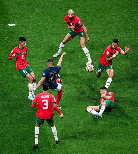 مارسيليا يريد هذا الأسد المهمة المستحيلة