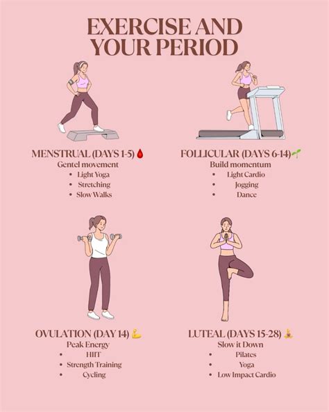 Exercises For Each Phase Artofit