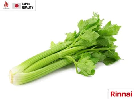 Manfaat Seledri Yang Belum Banyak Dikehaui Espos Id