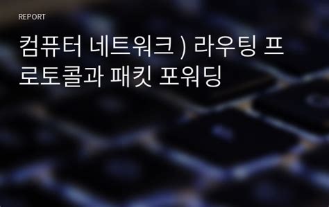 컴퓨터 네트워크 라우팅 프로토콜과 패킷 포워딩 레포트