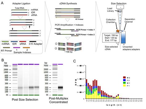 Isolation Of High Density Lipoproteins For Non Coding Small Rna
