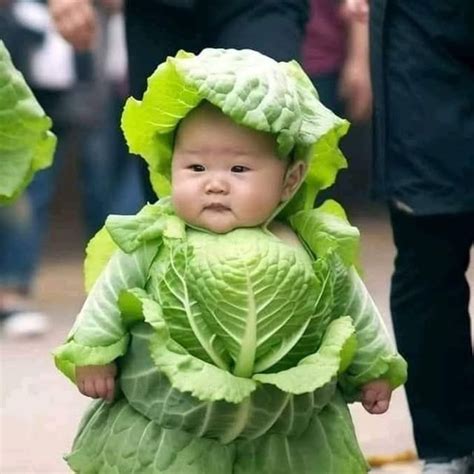 Babu Sona Babu4845sona On Threads