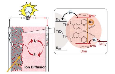 7 Typical Structure And Operation Principle Of A Dssc 40 Download Scientific Diagram