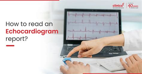 Echocardiogram Report Understanding The Report Clinico