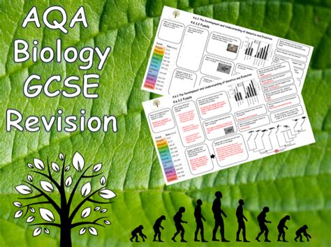 Home Learning Revision Genetics And Evolution And Classification Aqa