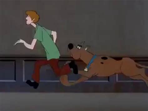Scooby And Shaggy Memes