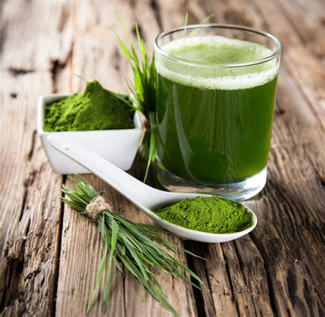 Wheatgrass Powder Remedies