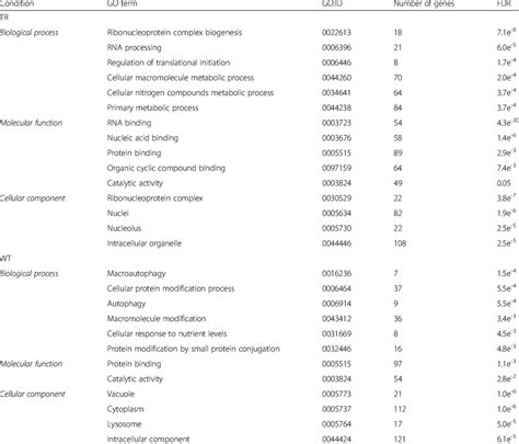 Gene Ontology Analysis Download Table