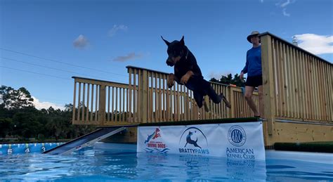 Bratty Paws Dog Plex Hipcamp In Punta Gorda Florida