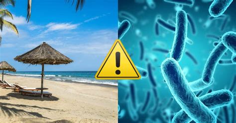 Bacteria “devoradora De Carne” Llega A Playas De México Medios Obson