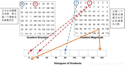 Hog特征计算及实现（python）hog特征python Csdn博客