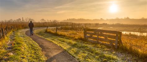 Uk Nutrient Neutrality In A Nutshell