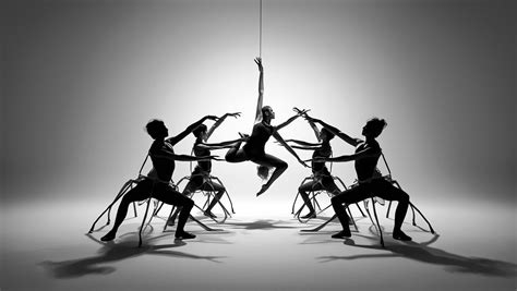 Free Spider Dance Shadows Image Dance Dancers Spider Download At Stockcake