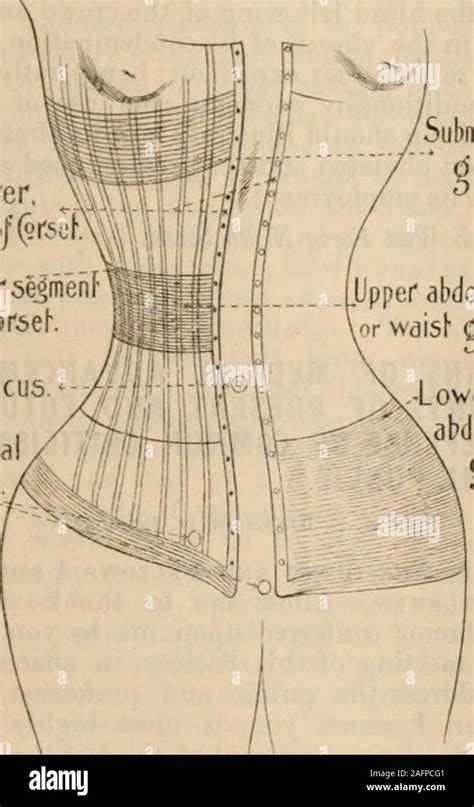 Virginia Medical Semi Monthly Nt Prolapse And Atrophy Of The Abdom