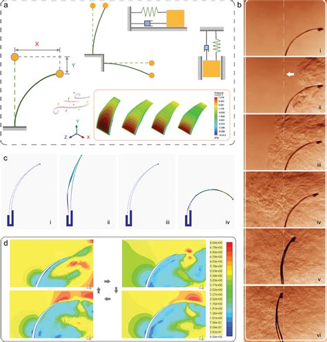 aerodynamic analysis and forced damping vibration simulation of