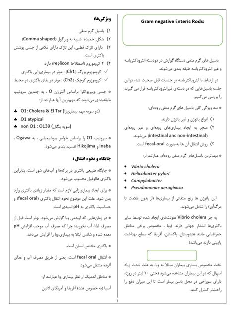 12 Gram Negative Enteric Rods Pdf