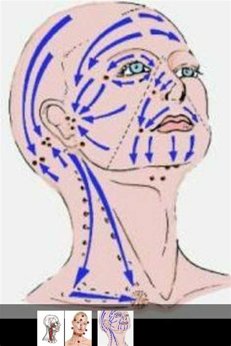 Facial Lymph Massage Direction Guide Poster Printable Instant Download