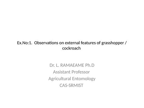 1 Observations On External Features Of Grasshopepr Cockroachpptx