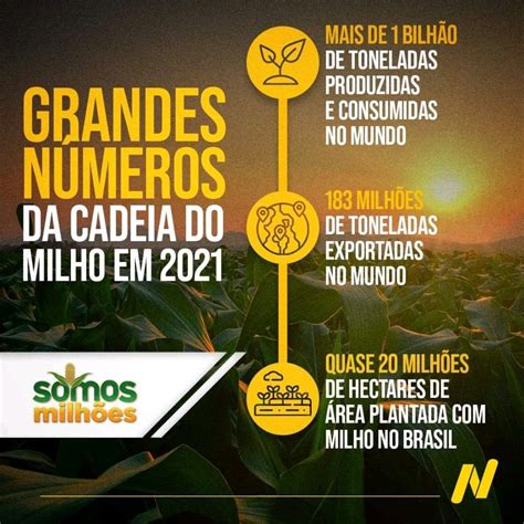 Rômulo Lima Posted On Linkedin