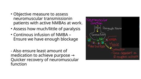 Train Of Four Method Using Peripheral Nerve Stimulator Pptx