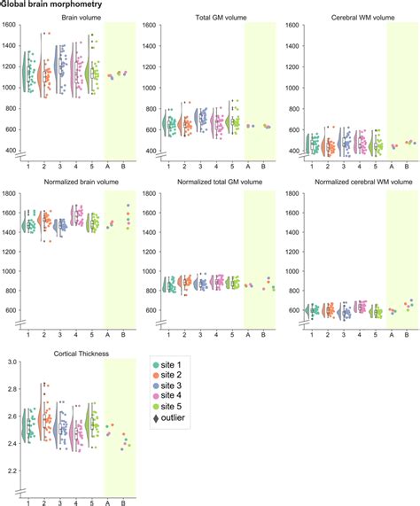 Structural Outcome Measures From T1w Scans The Variation Per Site Is