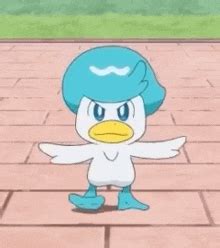 Quaxly Pokemon  Quaxly Pokemon Pokemon Scarlet And Violet
