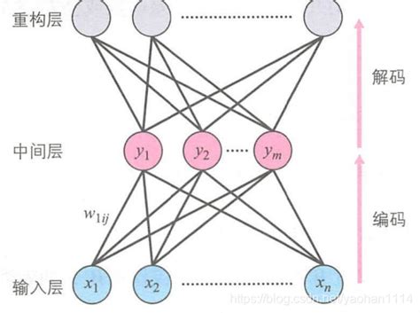 自编码器及其几种变种自编码器几种 Csdn博客 自编码器及其几种变种自编码器几种 Csdn博客