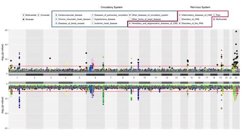 Univariate Bivariate And Multivariate Results Download Scientific