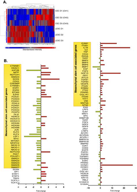 Upstream Regulators As Determinants For Stemness Selected Upstream Download Scientific Diagram