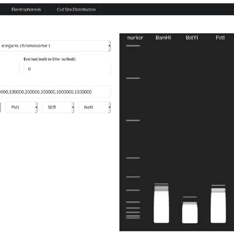 Overview Report Of An Original Rad Protocol Simulation Of The C