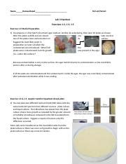 Lab Handout Docx Name Ramaa Bapat TA Lab Period Lab Handout Exercises